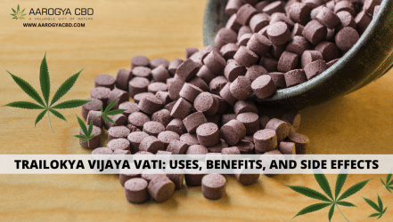 Trailokya Vijaya Vati: Uses, Benefits, and Side Effects | Aarogya CBD